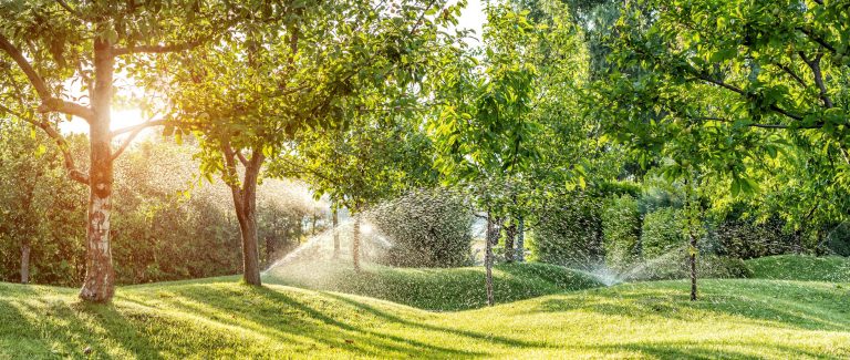 Austin Sprinkler Repair / Install & Irrigation